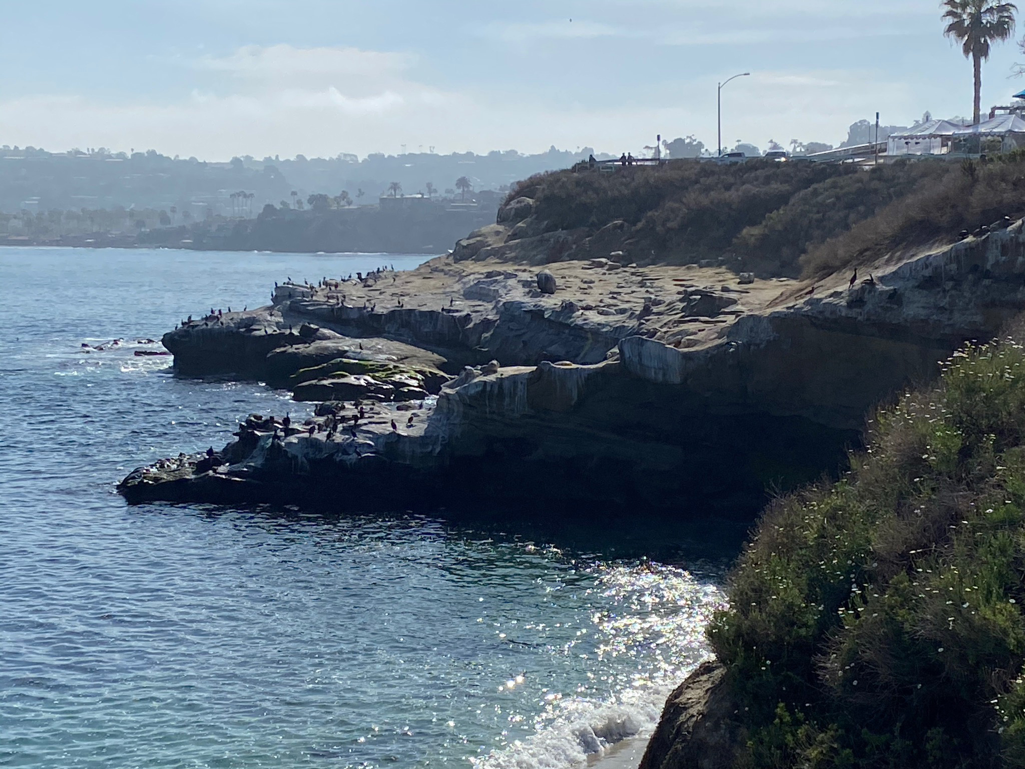 Rose Canyon Fault Zone, San Diego, California