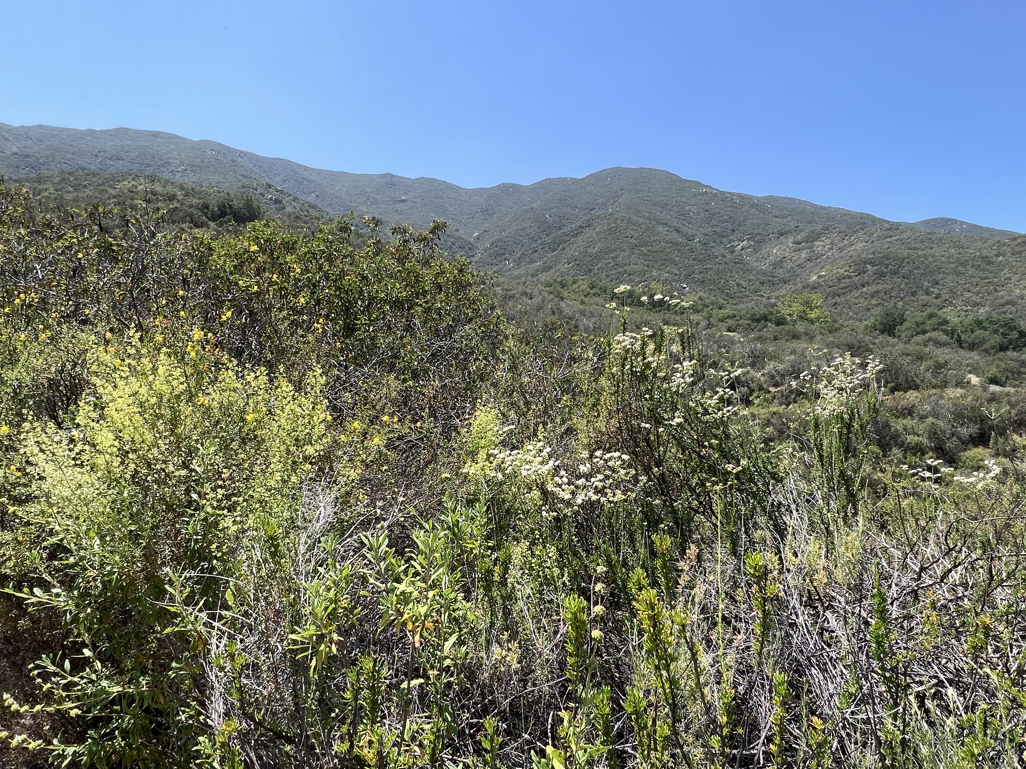 Wilderness Gardens Preserve