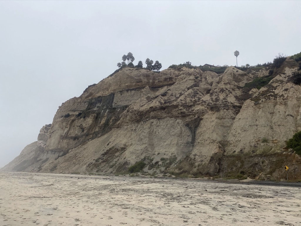 Field Trip To Torrey Pines State Nature Reserve