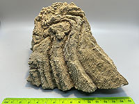 Rocks
